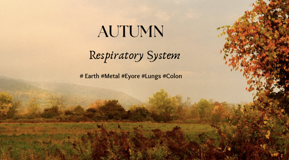 Autumn Respiratory System