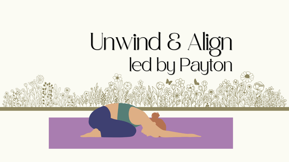 Wild Yoga Studio - Schedule