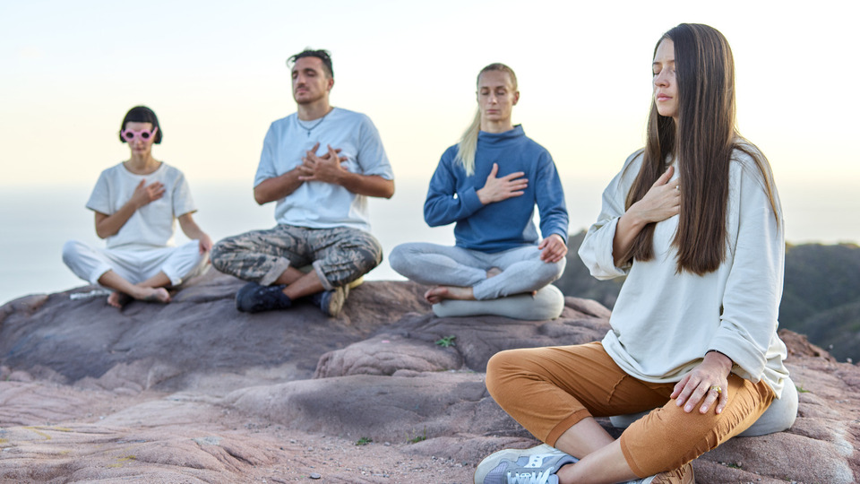 Shakaste Wellness - Offerings