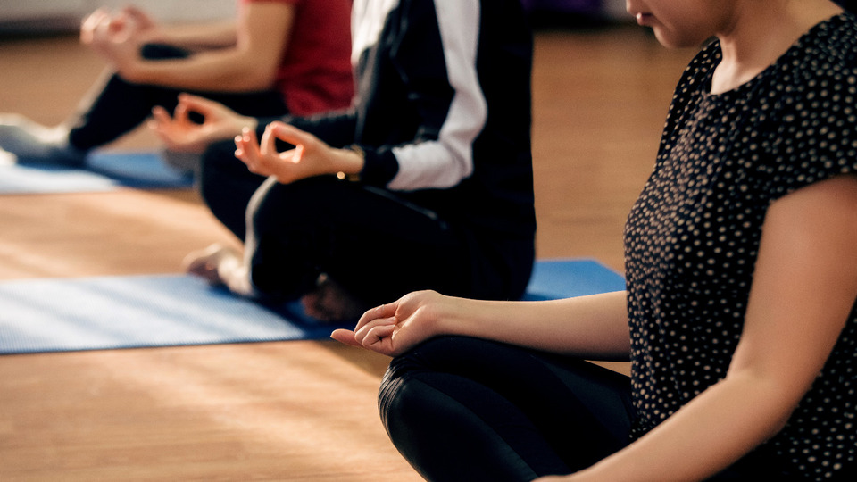 The Creatrix - Schedule