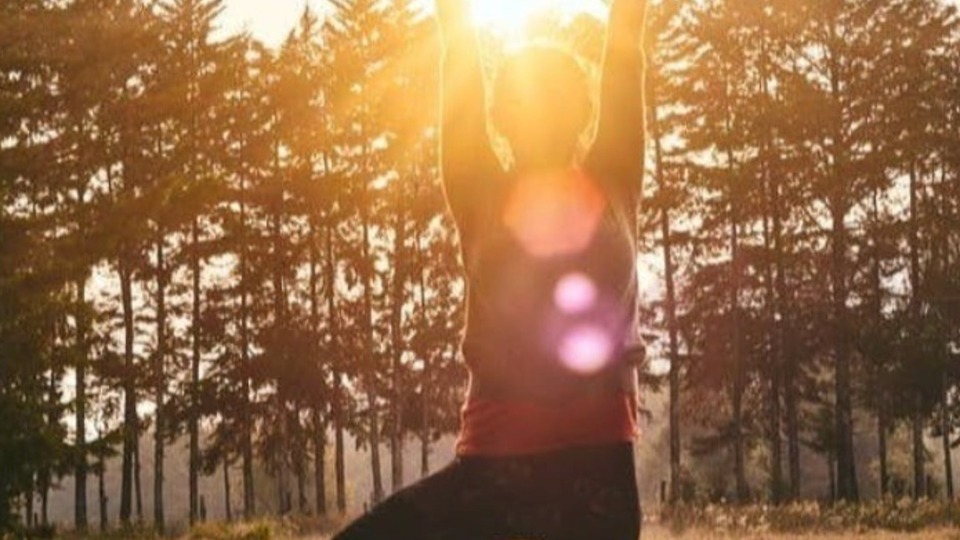 Get Started with Yoga! 3 Session Package