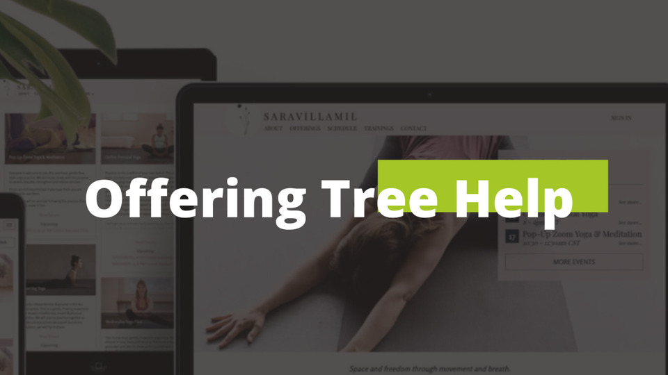 Unbothered Wellness - Offerings