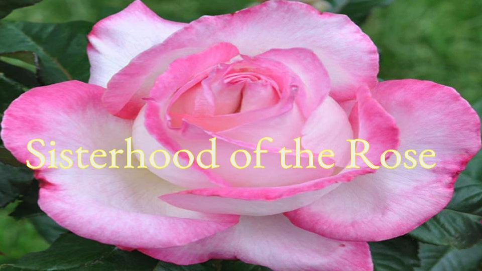 Sisterhood of the Rose Healing Circle