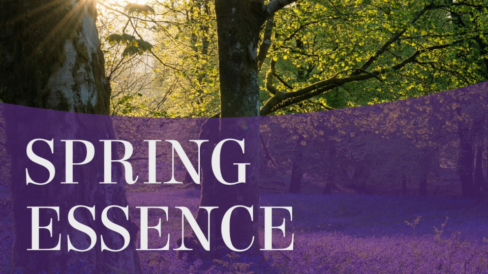 Spring Essence - A Day Retreat in the City