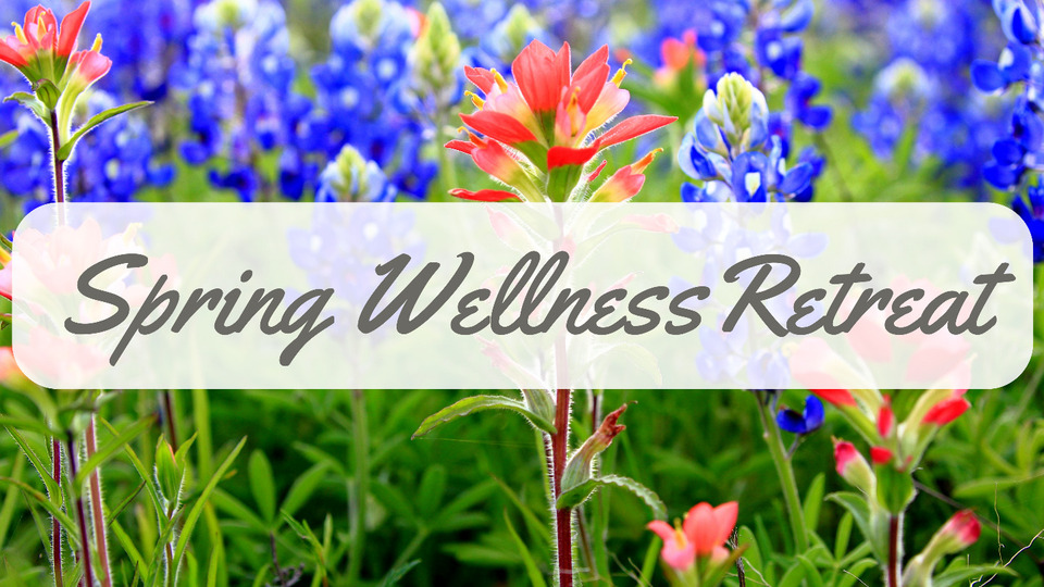 Spring Wellness Mini Retreat