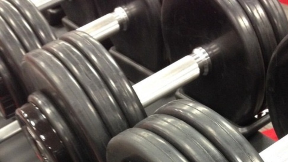 Personal Training with Veronica- Virtual Only