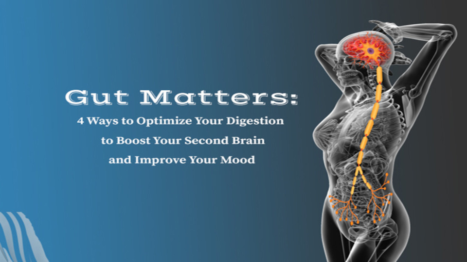 28 Day Gut Matters Lifestyle Program
