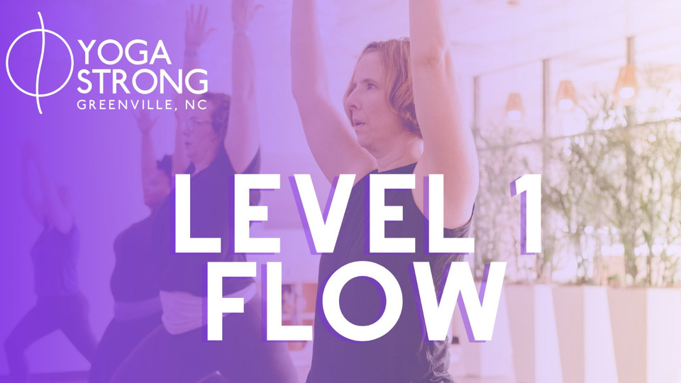 Level 1 Flow Classes