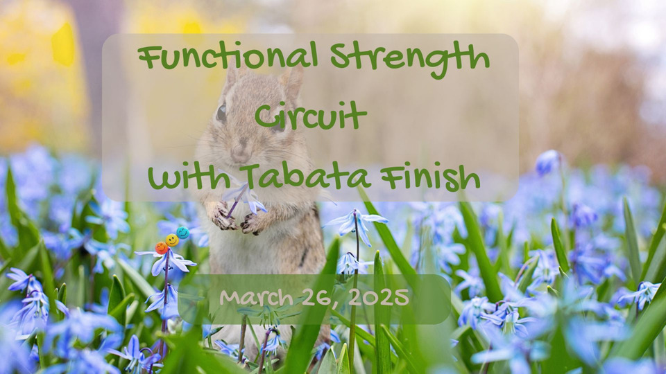 Functional Strength Circuit +Tabata (3/26/25)