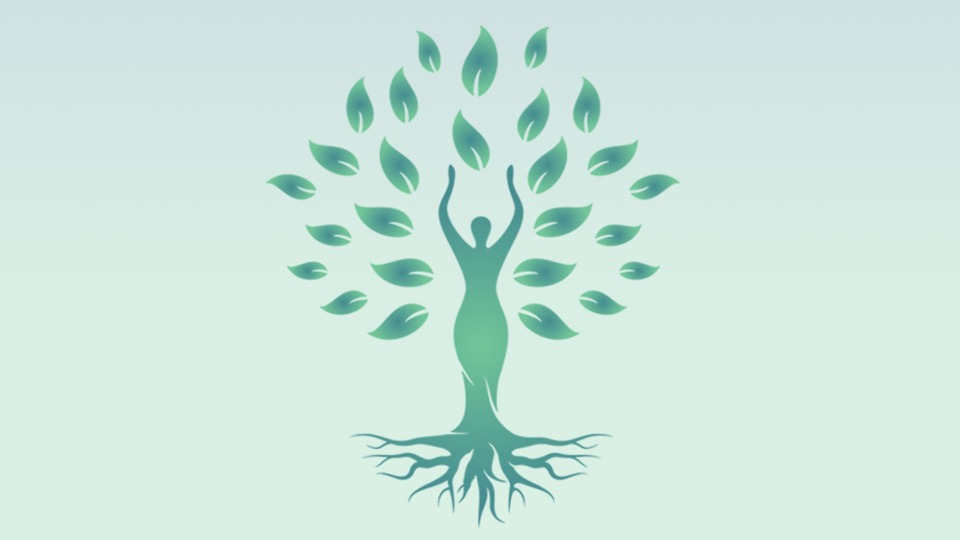 Healing Roots Course: Foundations To Move Beyond Pain And Restrictions