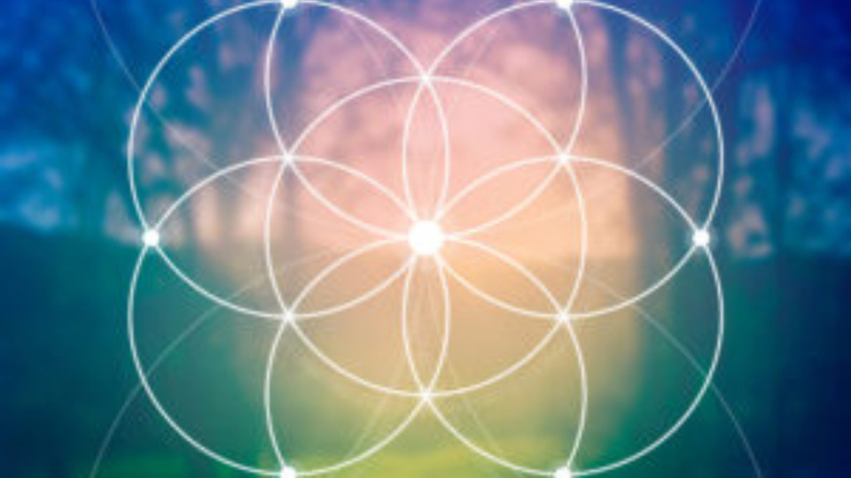 A Journey Through the Chakras: Attuning to the Life Force Within