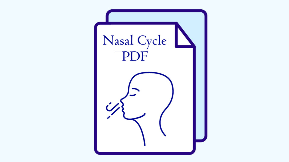 The Nasal Cycle