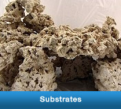 Aquarium Supplies: Buy Aquarium Supplies & Salt Water Fish Aquarium ...