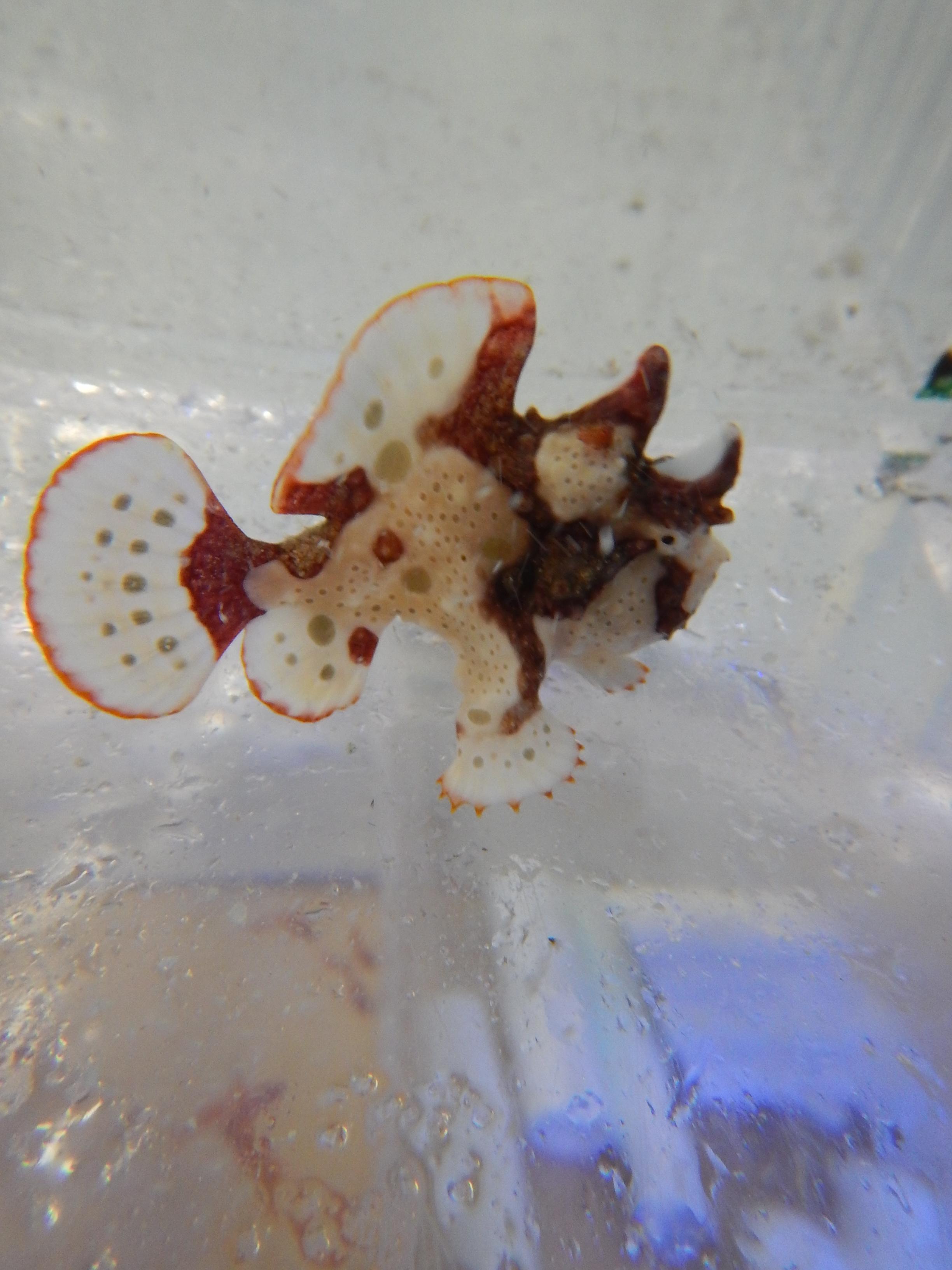 Check Out This Week's Special