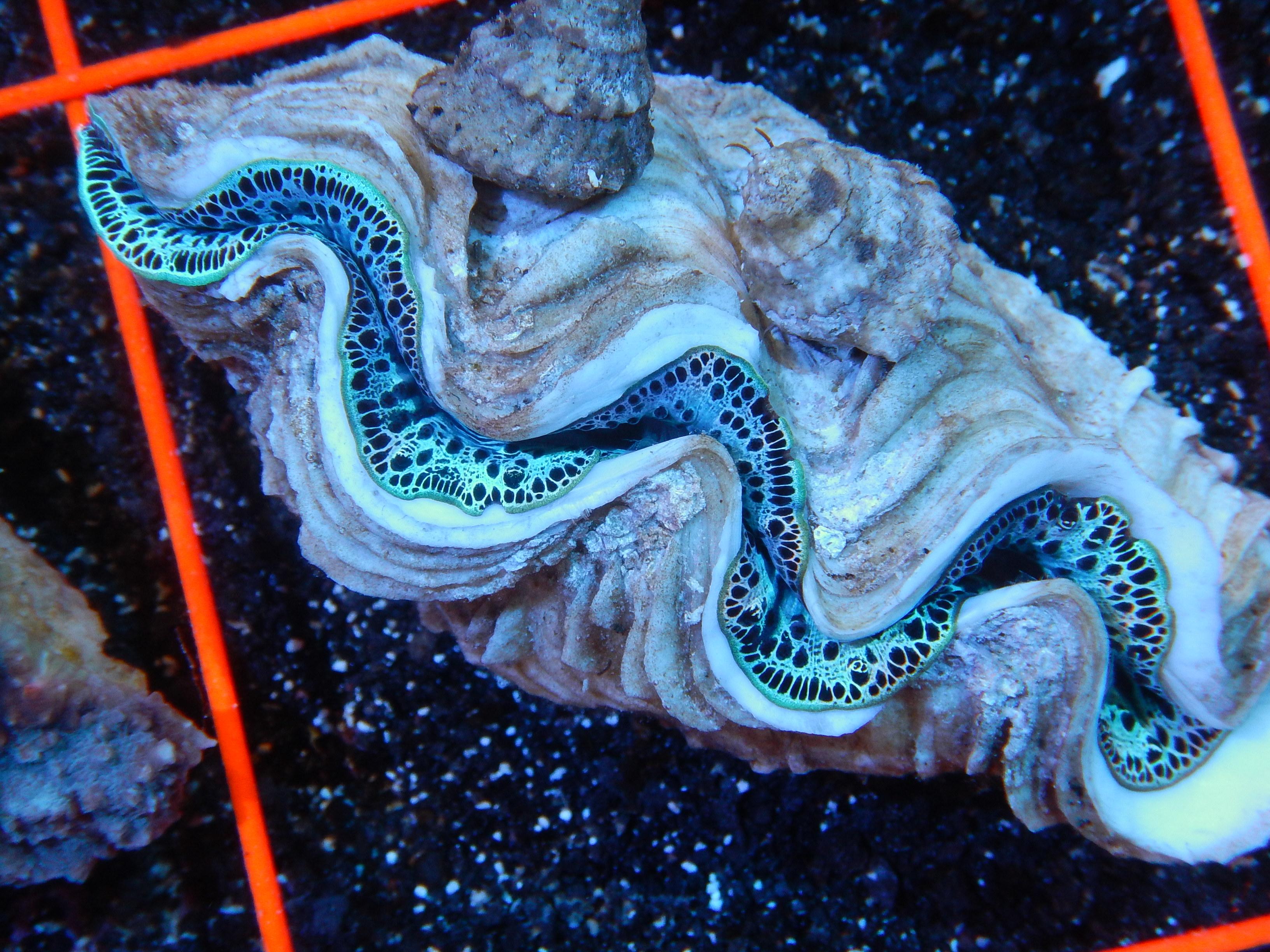 Check Out This Week's Special